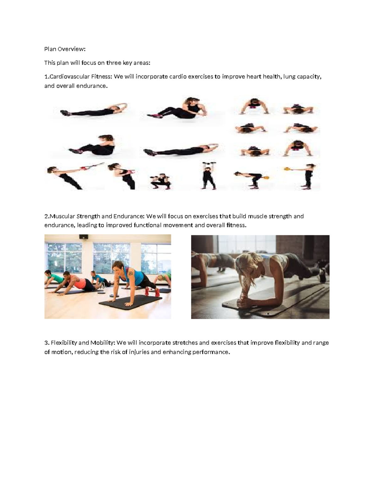 Plan Overview - short notes - Plan Overview: This plan will focus on ...