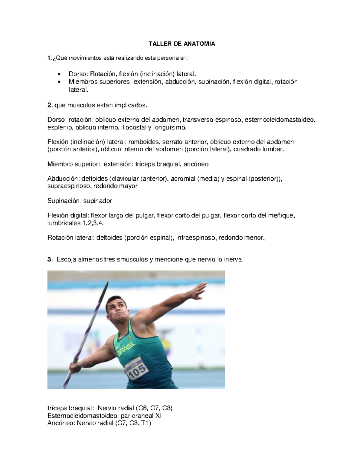 Taller de Anatomia - Nsjsn - TALLER DE ANATOMIA 1 .¿Qué movimientos ...