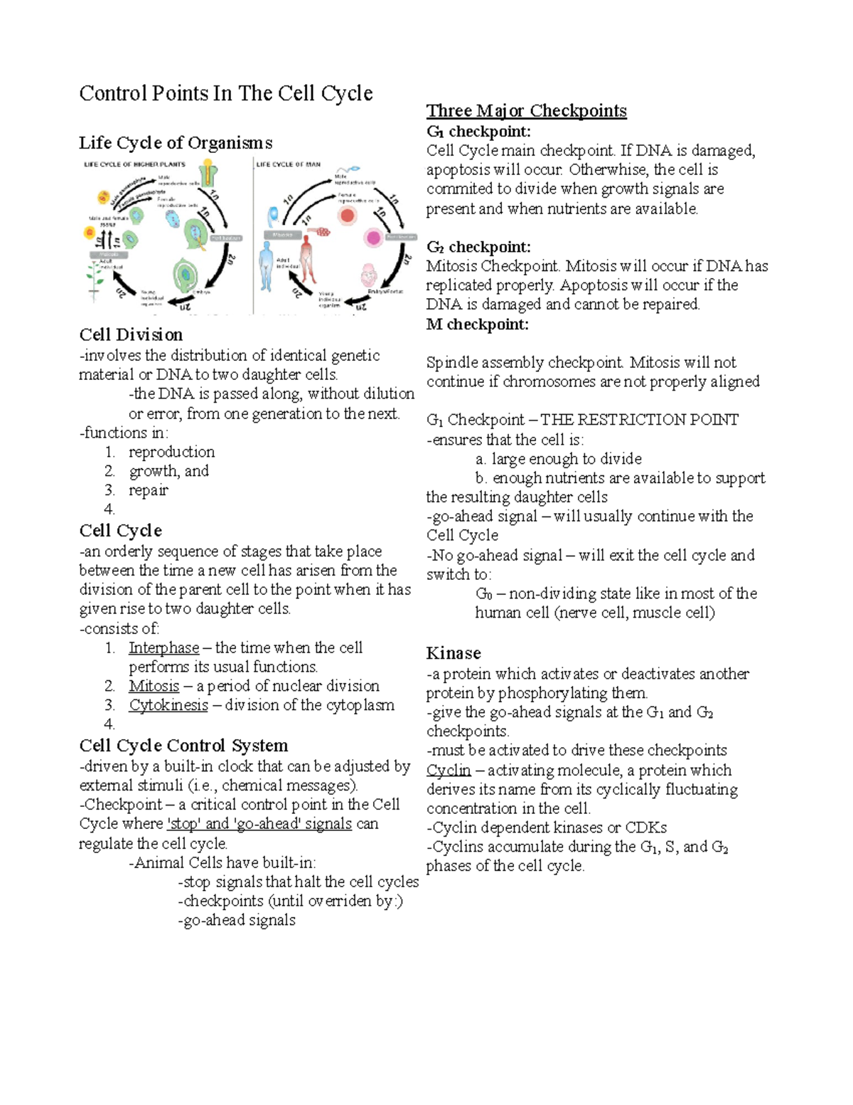Control Points In The Cell Cycle -the DNA is passed along, without ...