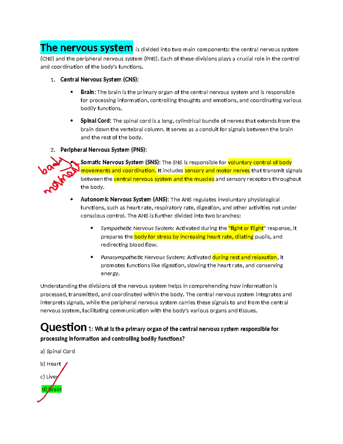 The nervous system - notes and practice questions - The nervous system ...