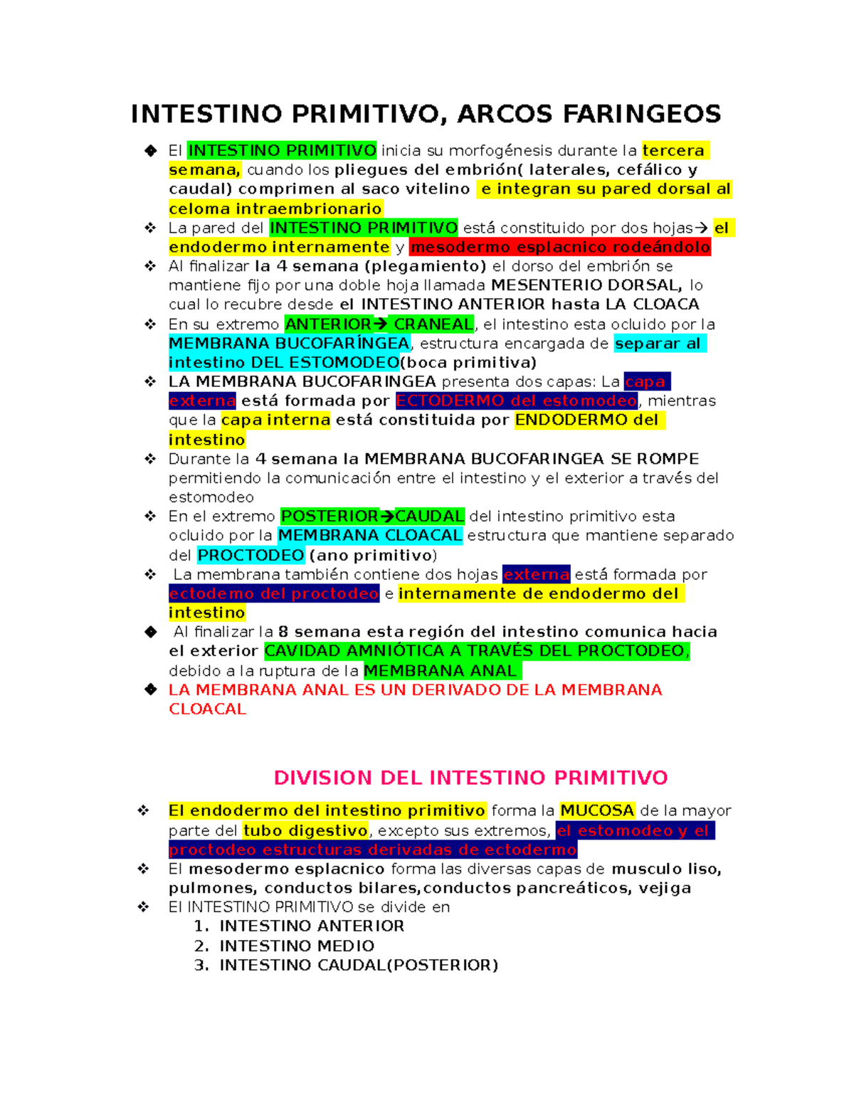 Arcos Farngeos Tercer Parcial - INTESTINO PRIMITIVO, ARCOS FARINGEOS El ...