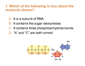 Macromolecules in your food - The Nutrition Facts label can help you ...