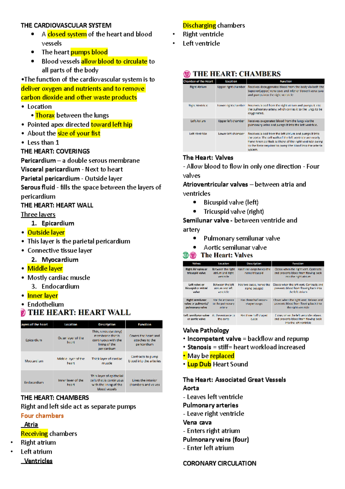 THE Cardiovascular System - THE CARDIOVASCULAR SYSTEM A closed system ...