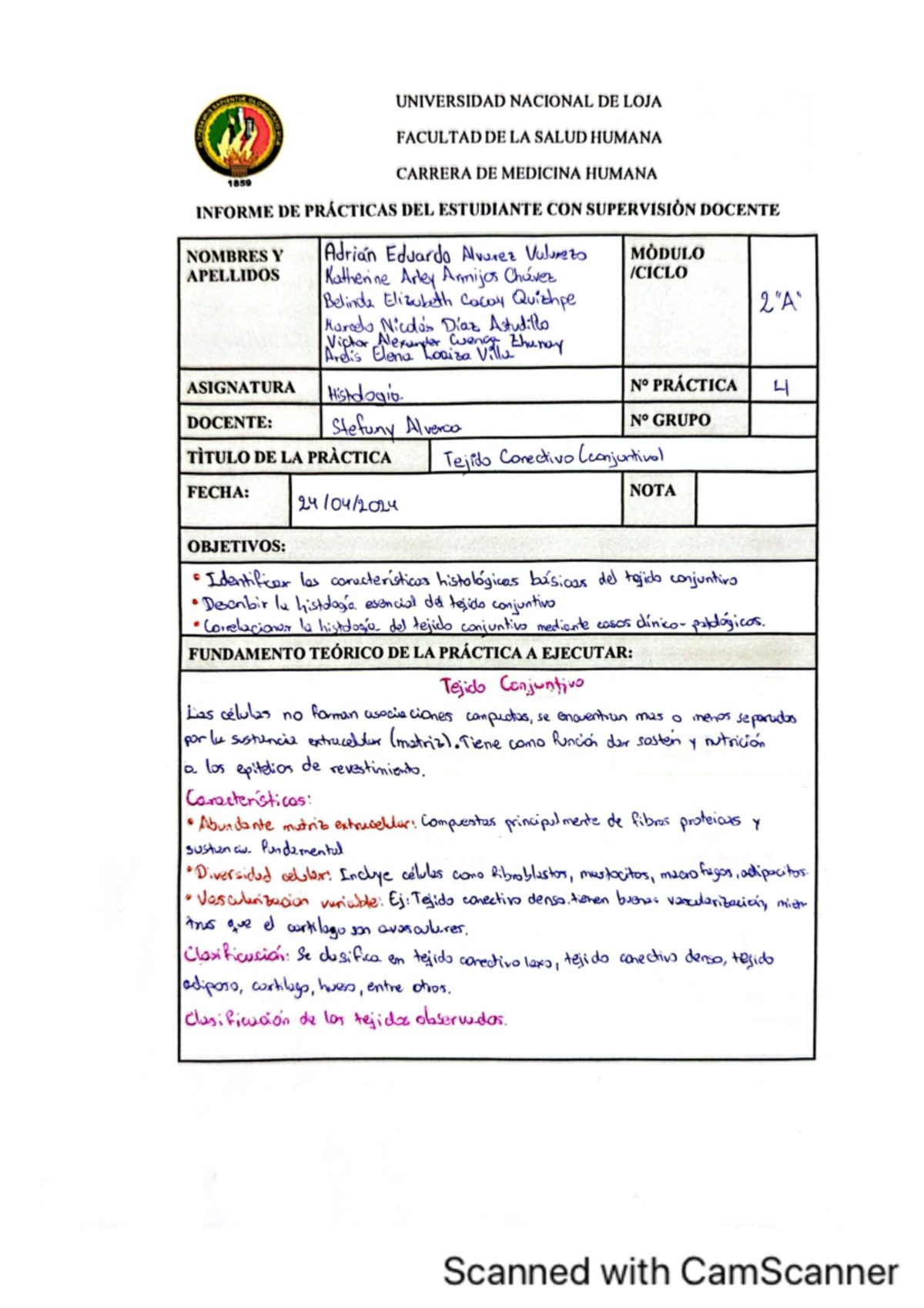 Sistema Linfático - Histología - SISTEMA LINFÁTICO TIMO (neonato) TIMO ...