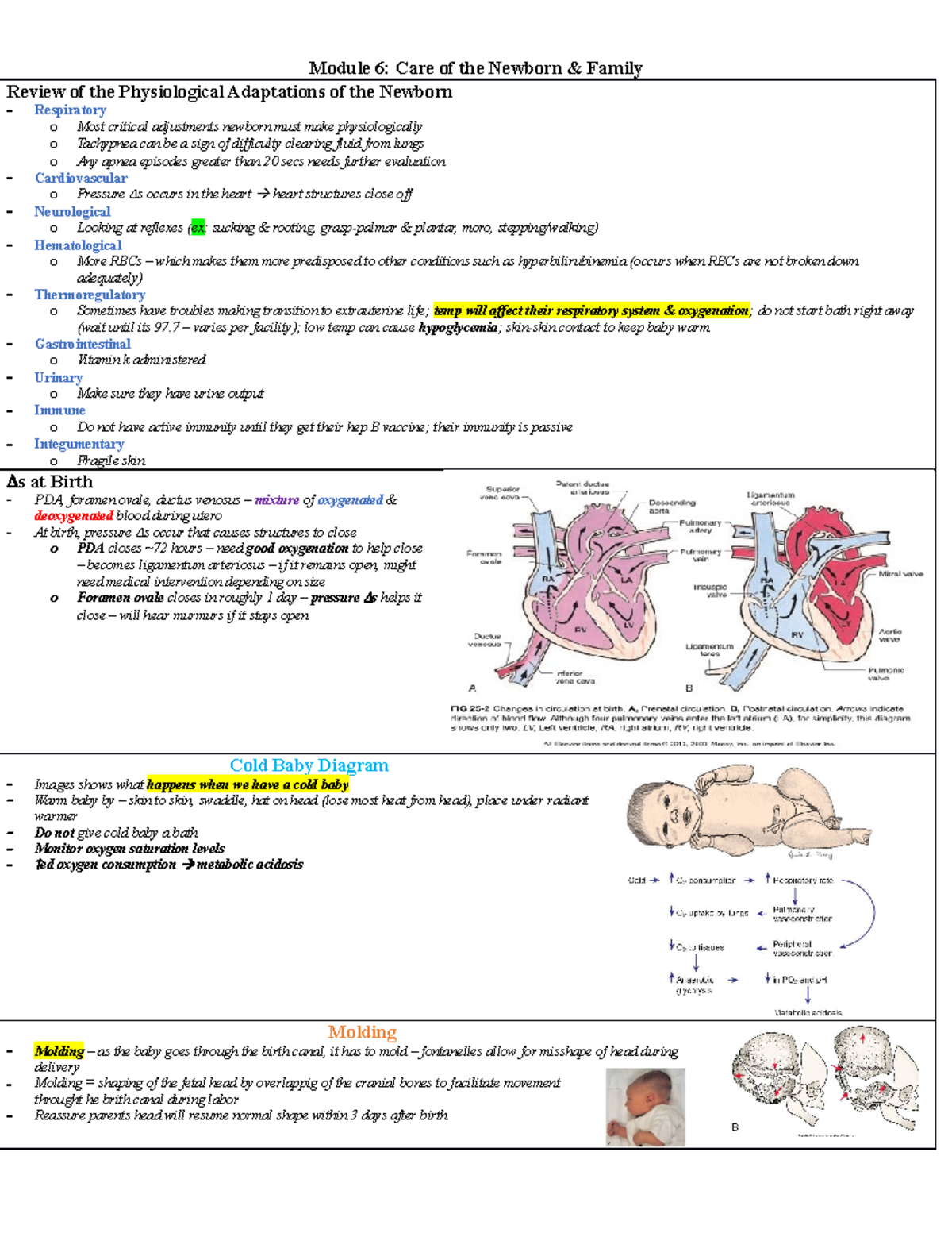 Module 6 notes - Maternity/Newborn - Module 6: Care of the Newborn ...