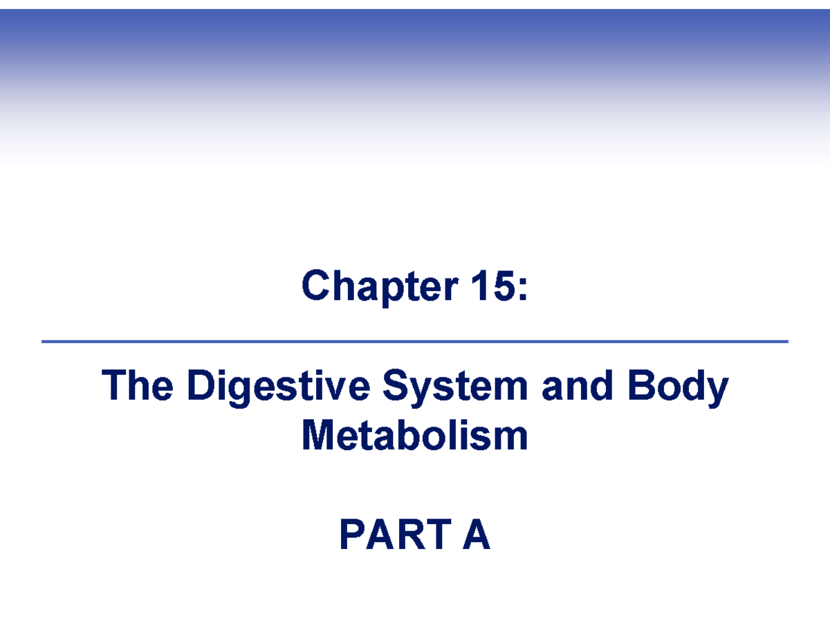 Chapter 15 Digestive System BODY Metabolism PART A Powerpoint - Chapter ...