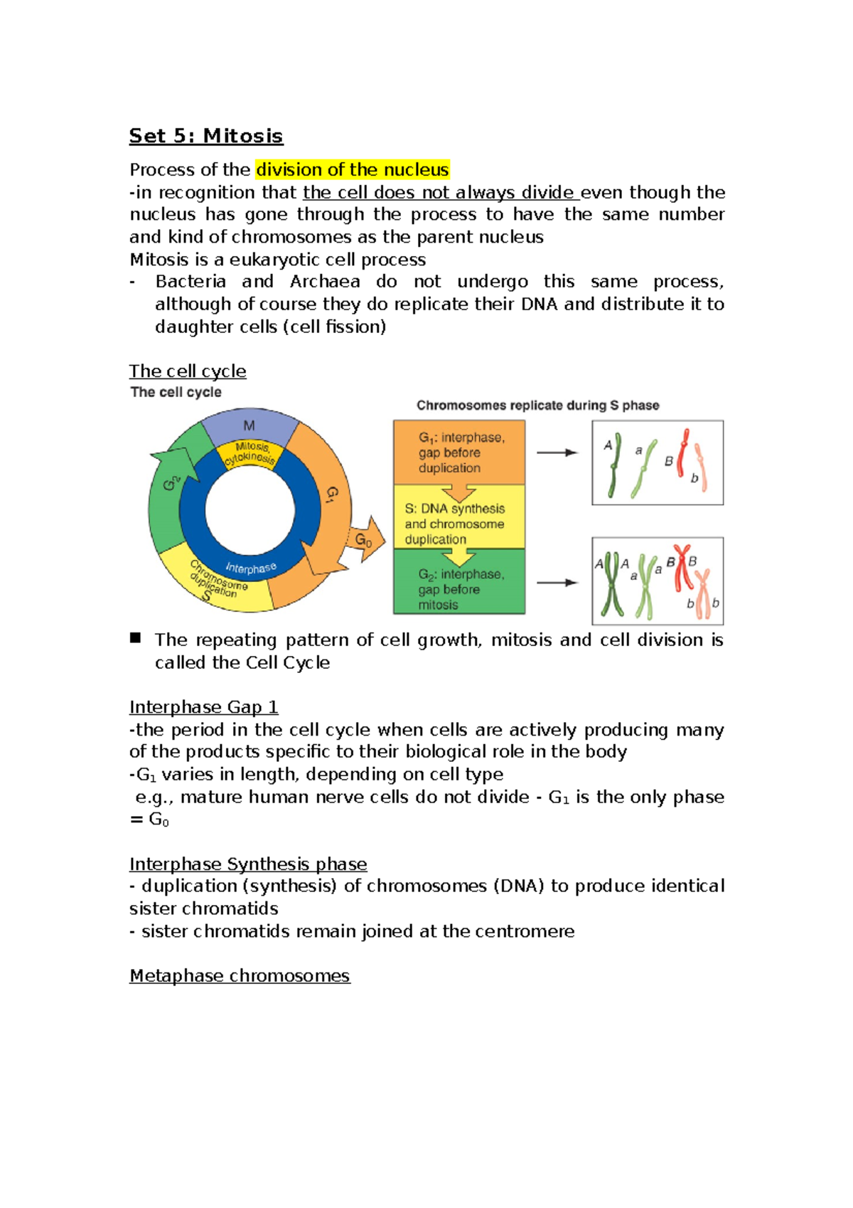 Lecture note 5-8 - Set 5: Mitosis Process of the division of the ...