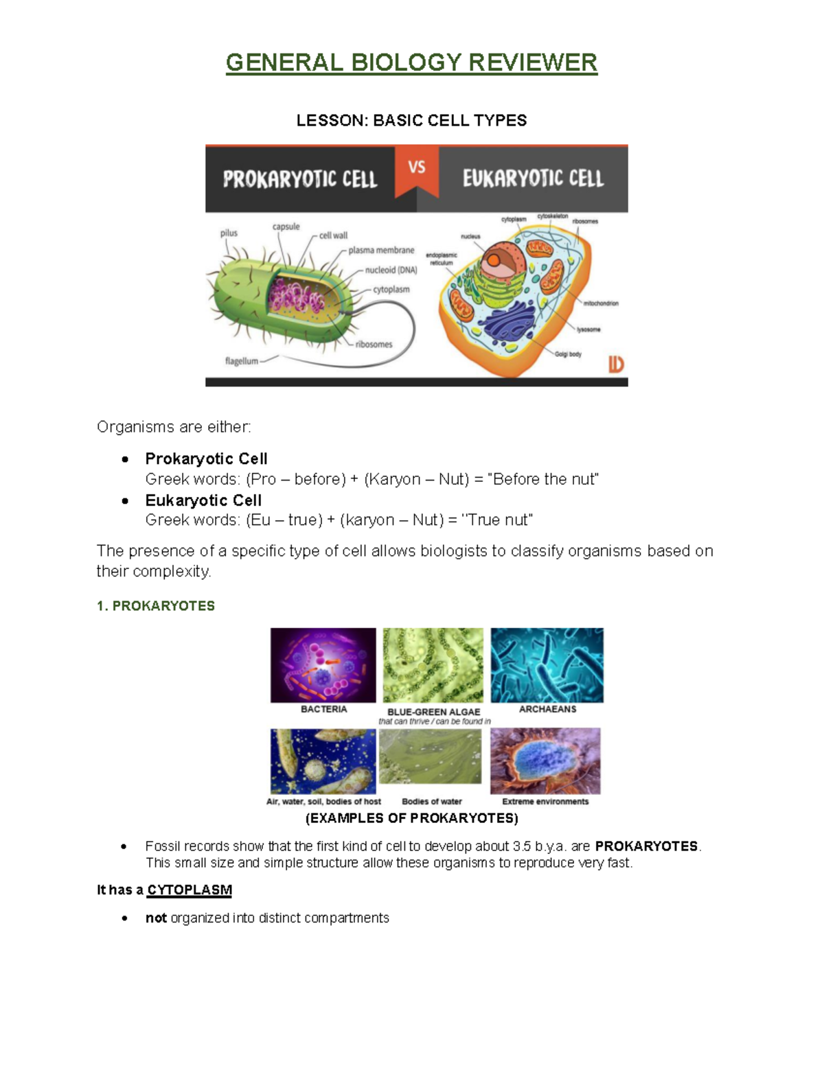 Basic CELL Types - Summary Science, Technology, Engineering, and Mathematics (STEM) - GENERAL ...