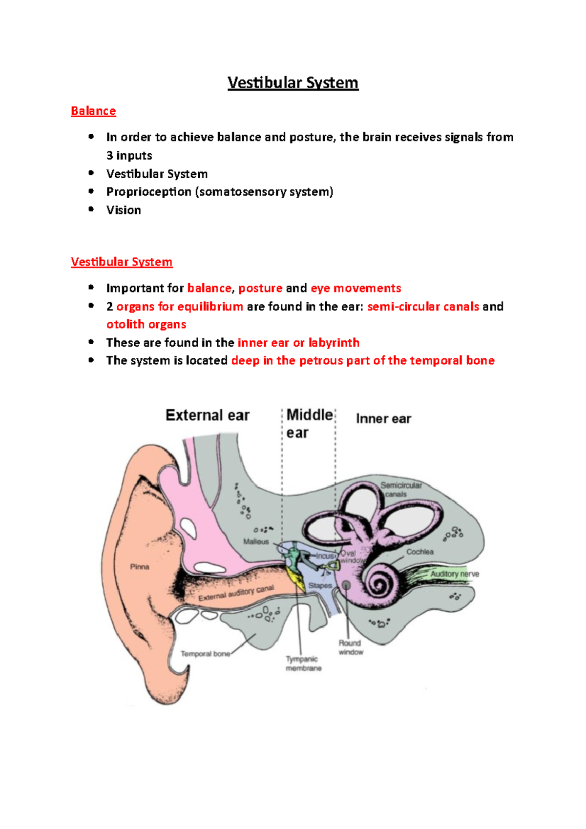 Vestibular System - Lecture notes 1 - Vestibular System Balance In ...