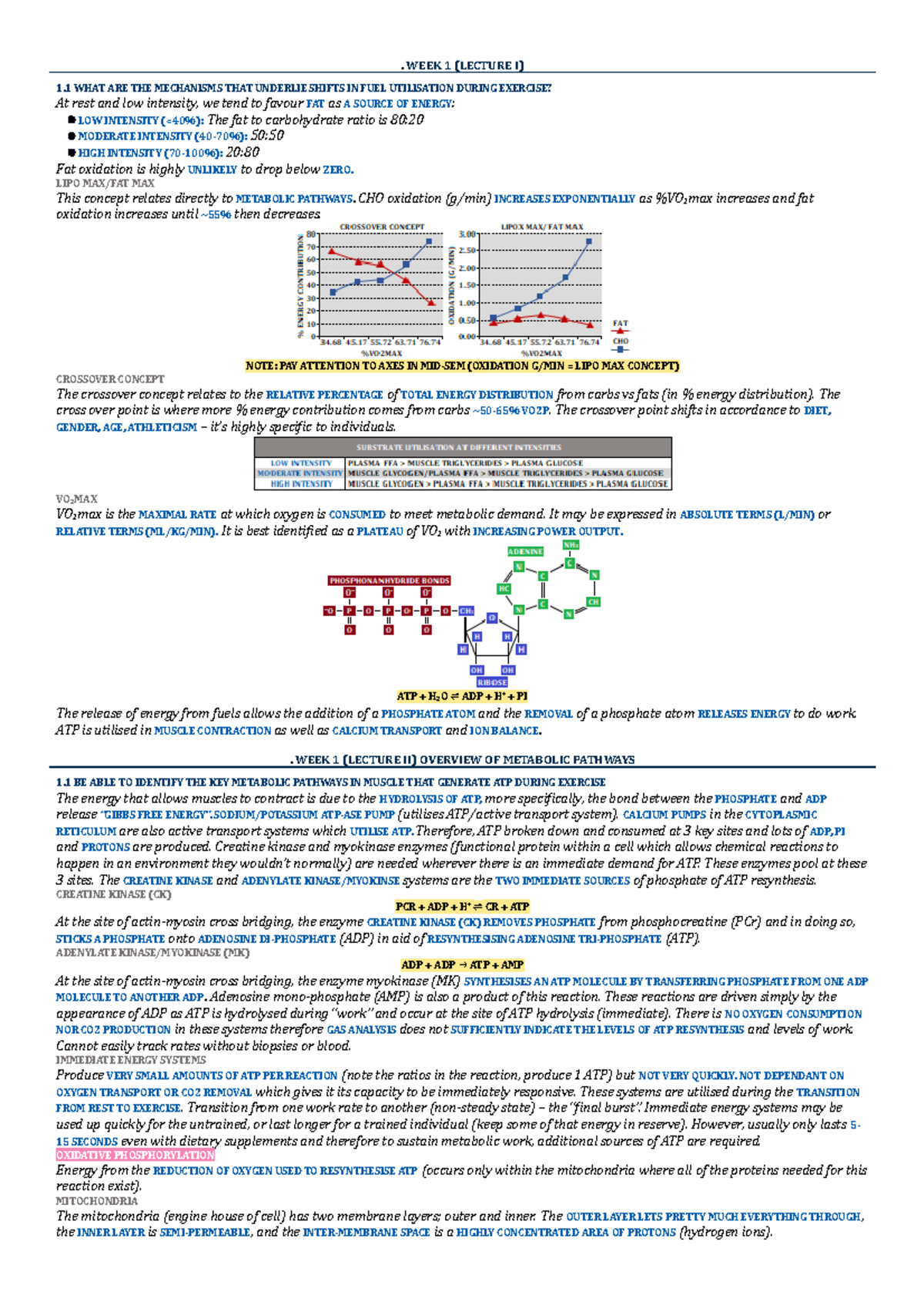 Exercise Physiology and Biochemistry (Weeks 1 - 6) - . WEEK 1 (LECTURE ...