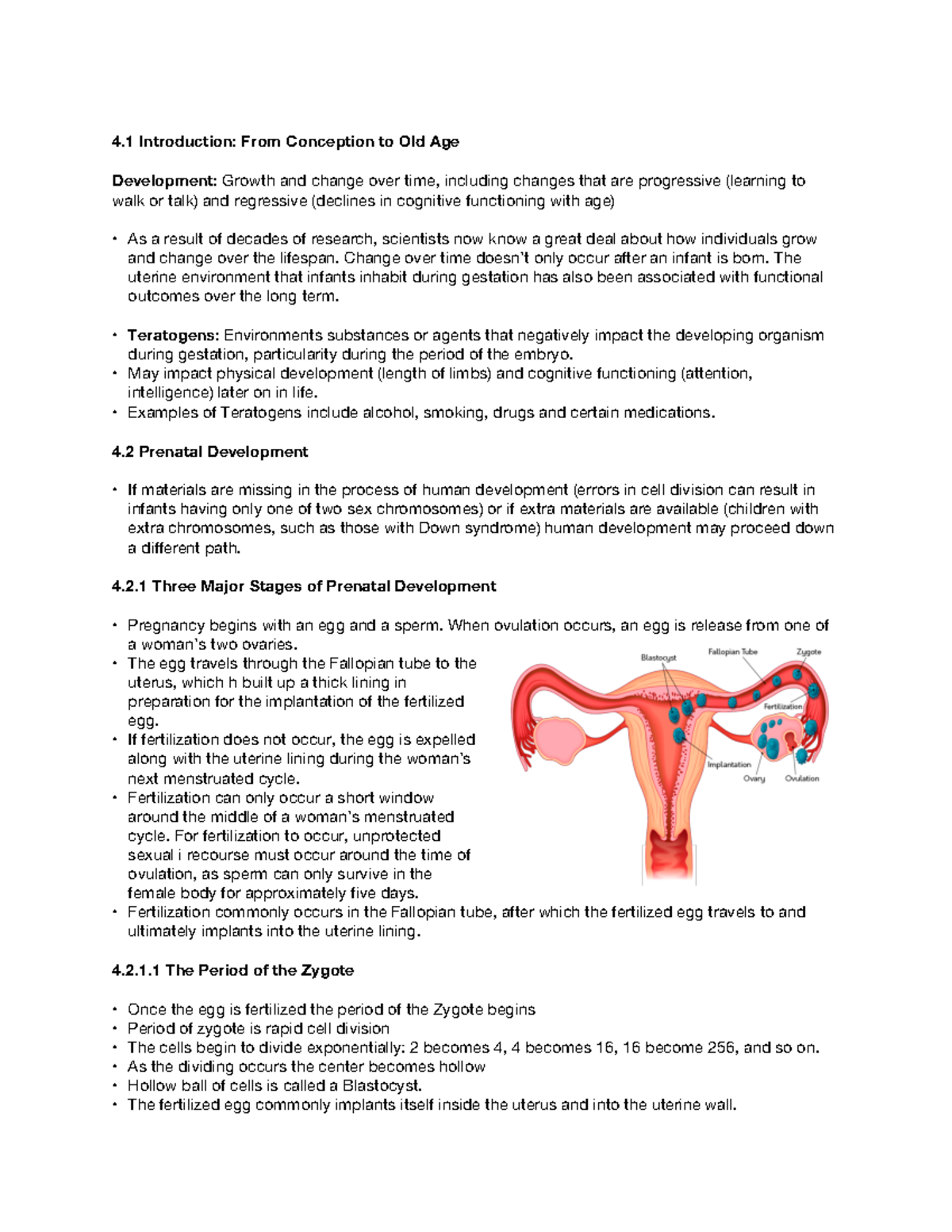 Module 4 Development - Sept 9th - 4 Introduction: From Conception to ...
