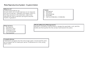 Concept Map Benign Prostatic Hyperplasia (BPH) - Male Reproductive ...