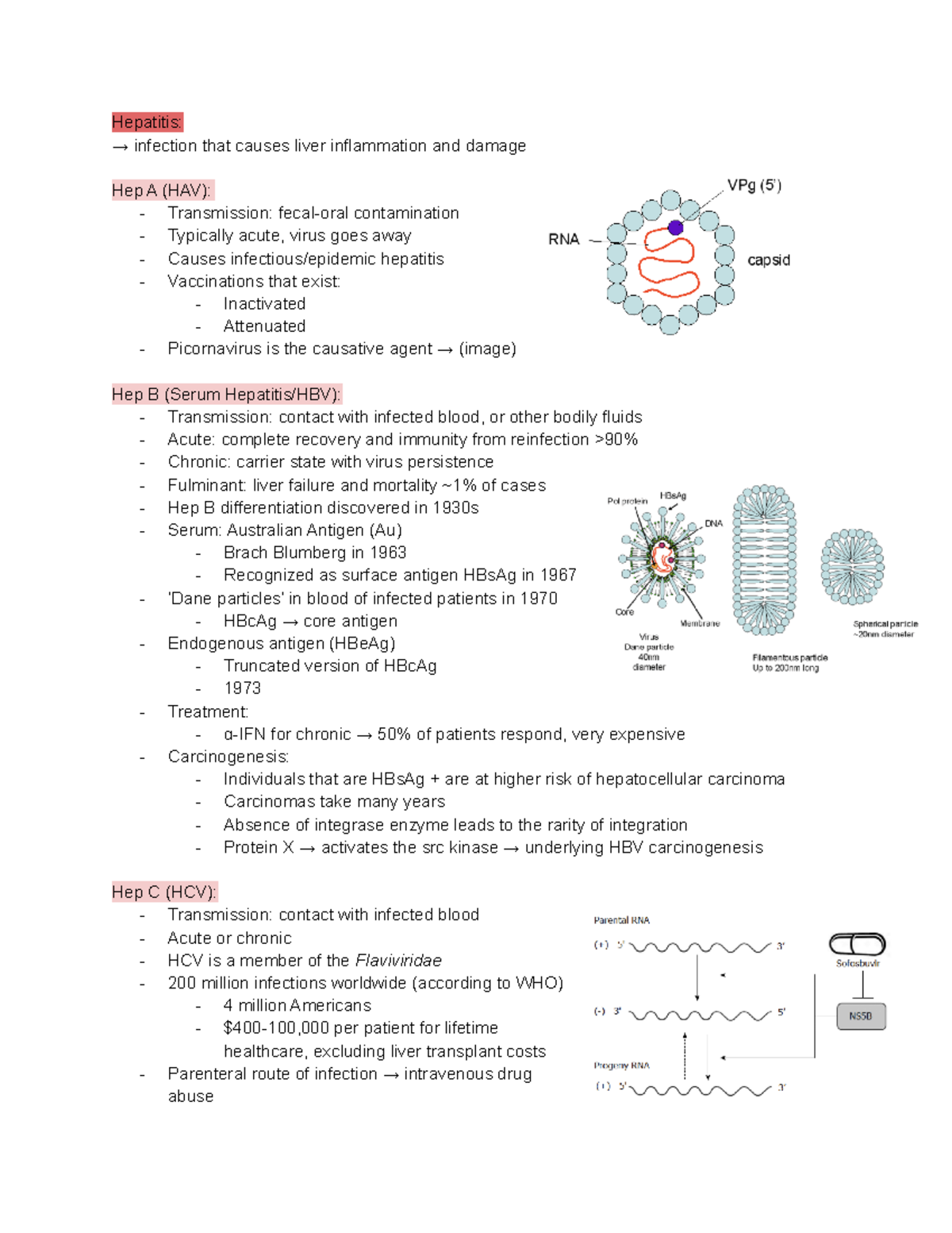 Hepatitis - Information about Hep A through Hep G. - Hepatitis: → ...