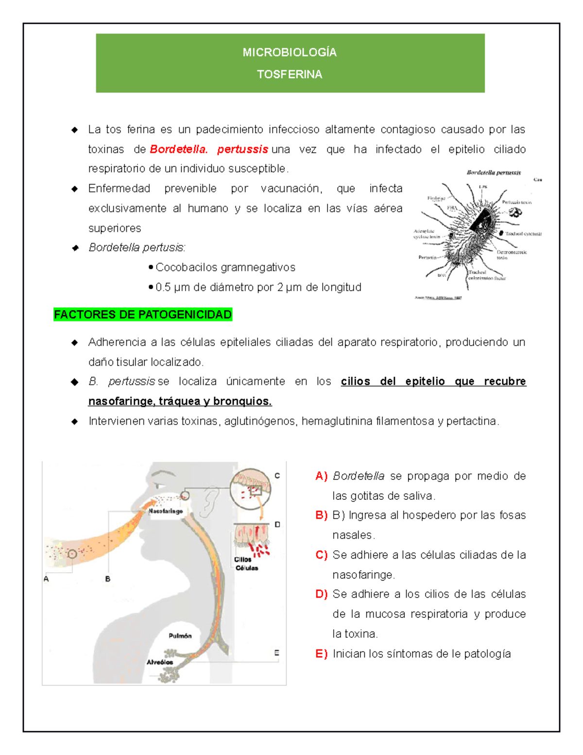 Tosferina - La tos ferina es un padecimiento infeccioso altamente ...