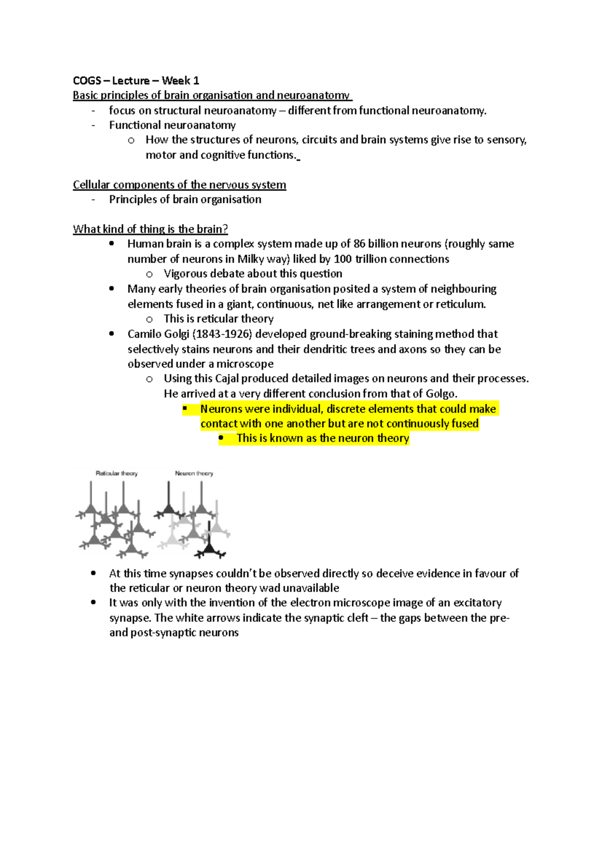 COGS - week 1 Lecture - COGS – Lecture – Week 1 Basic principles of brain organisation and - Studocu