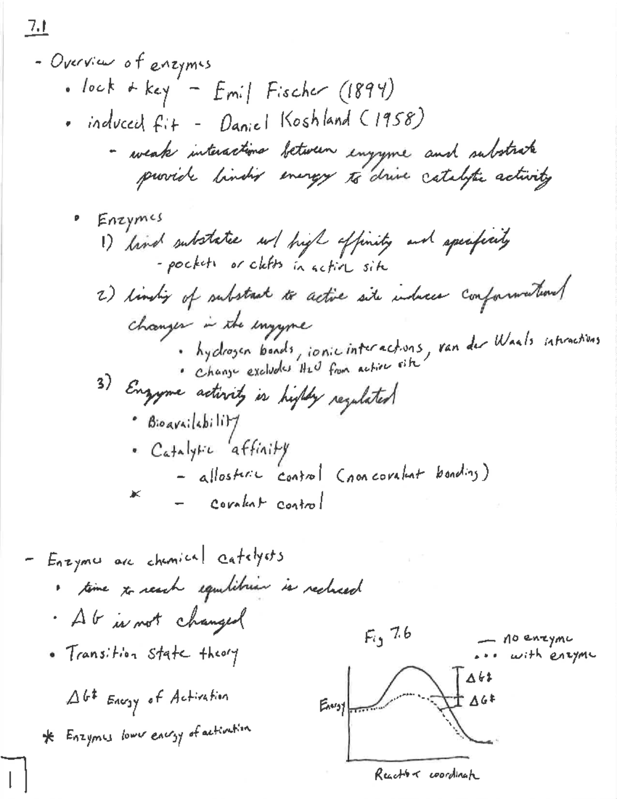 Biochem handwritten chapters 7 and 9 notes - BIOL 3233 - Studocu