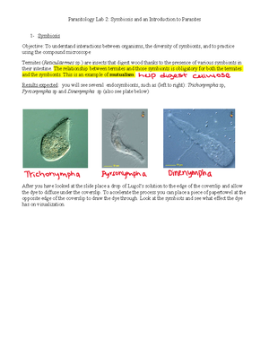 Clifton Strengths Finder Report - Jessica Thompson Your Signature ...