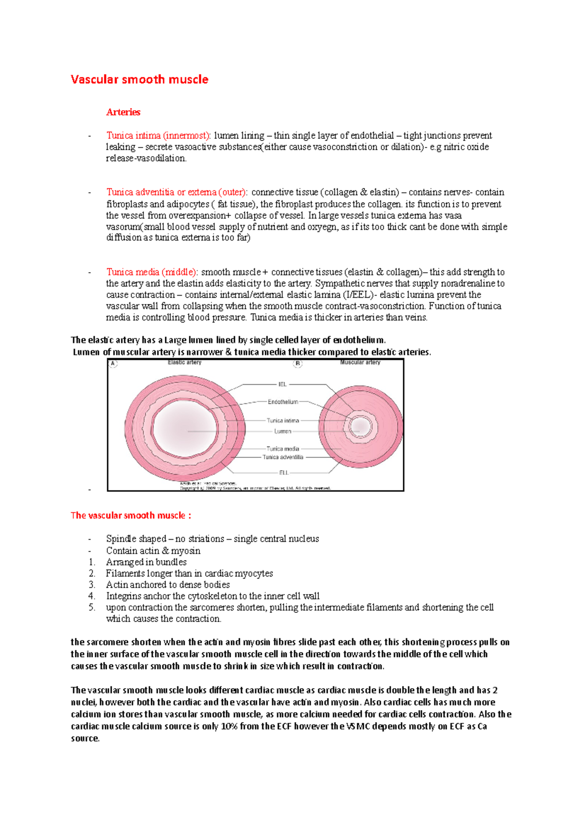 Vascular smooth muscle - Vascular smooth muscle Arteries - Tunica ...