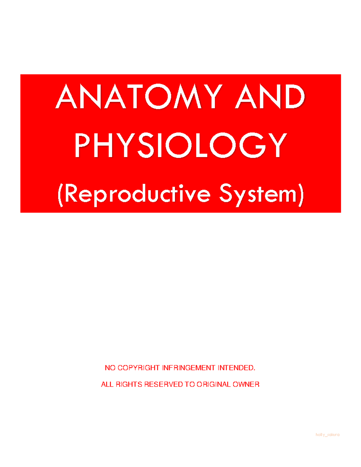 Reproductive System Anatomy and Physiology - holly_sakura ANATOMY AND ...