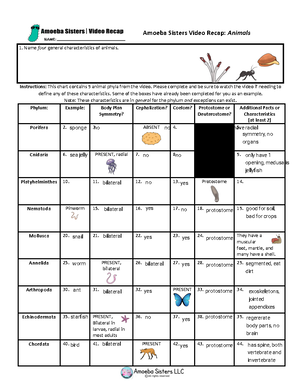 Video Recap of DNA - Amoeba Sisters Video Recap- DNA, Chromosomes ...