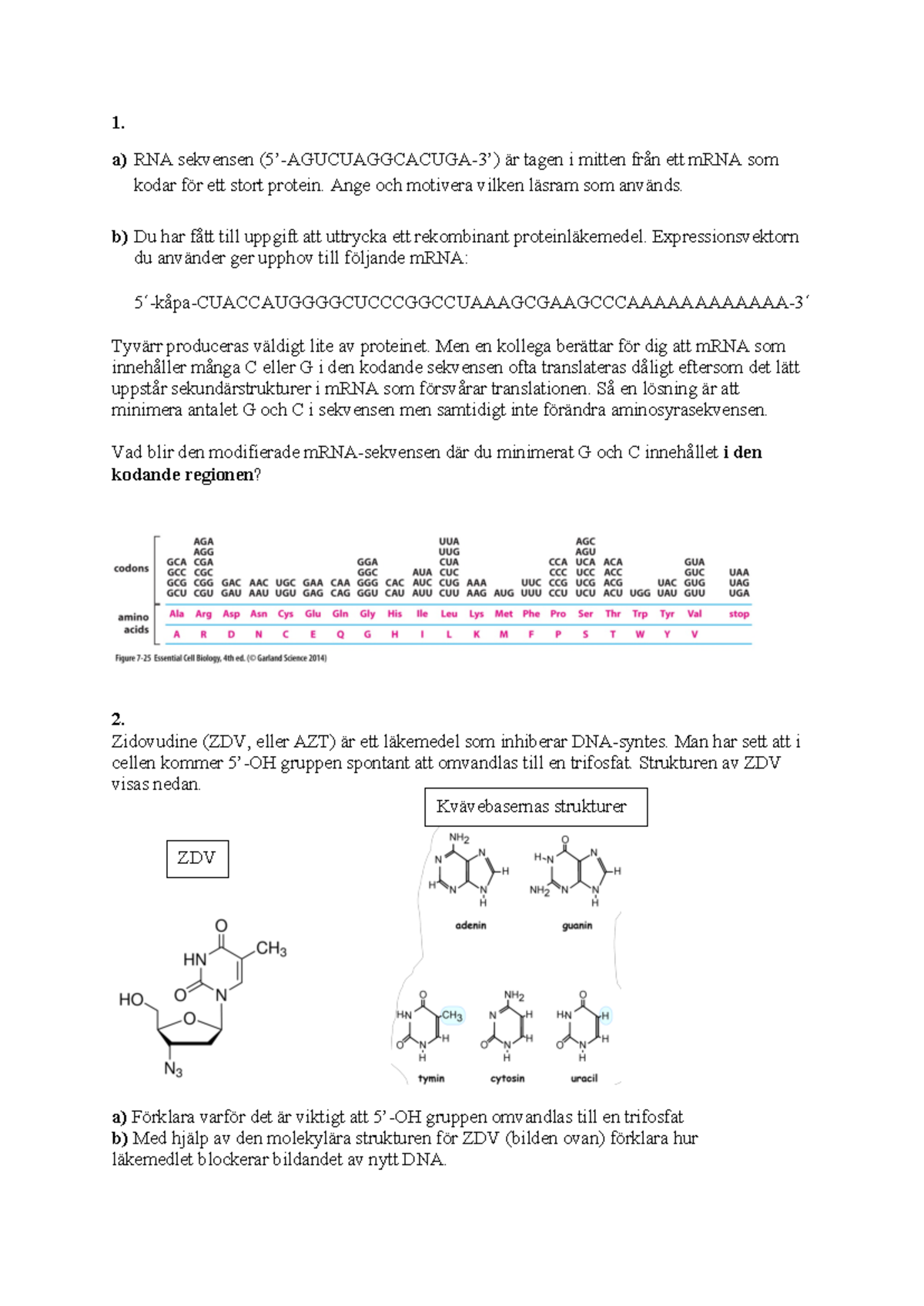 R1 Workshop-1 - jjsns - 1. a) RNA sekvensen (5’-AGUCUAGGCACUGA-3’) är ...