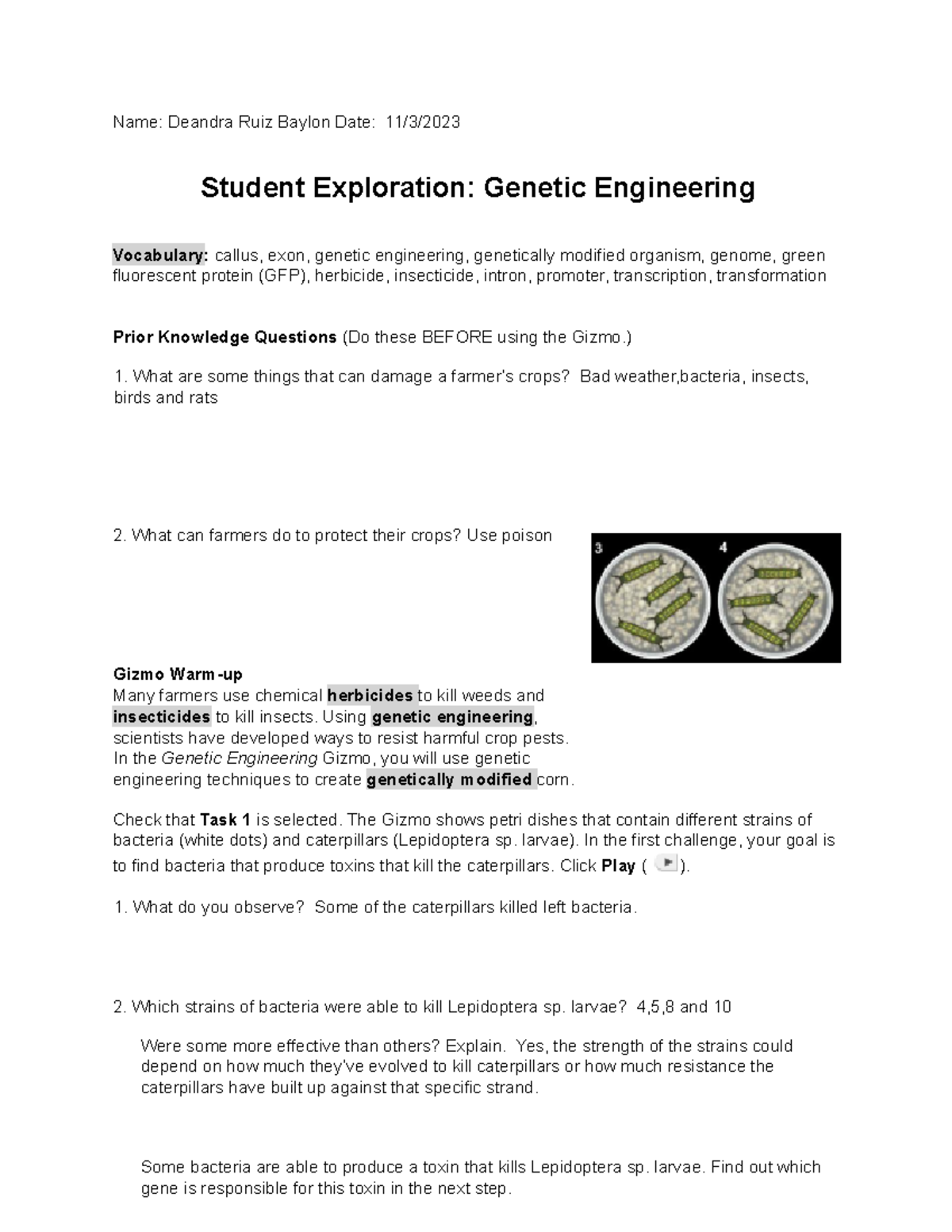 Genetic Engineering SE-2 - Name: Deandra Ruiz Baylon Date: 11/3 ...