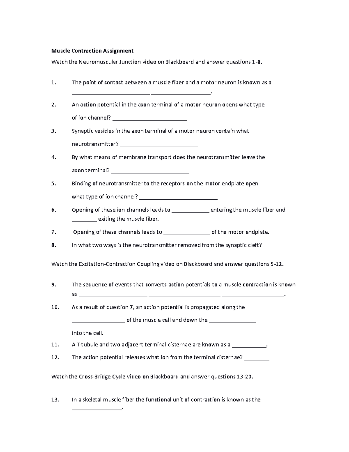 Muscle Contraction Worksheet - Muscle Contraction Assignment Watch the ...