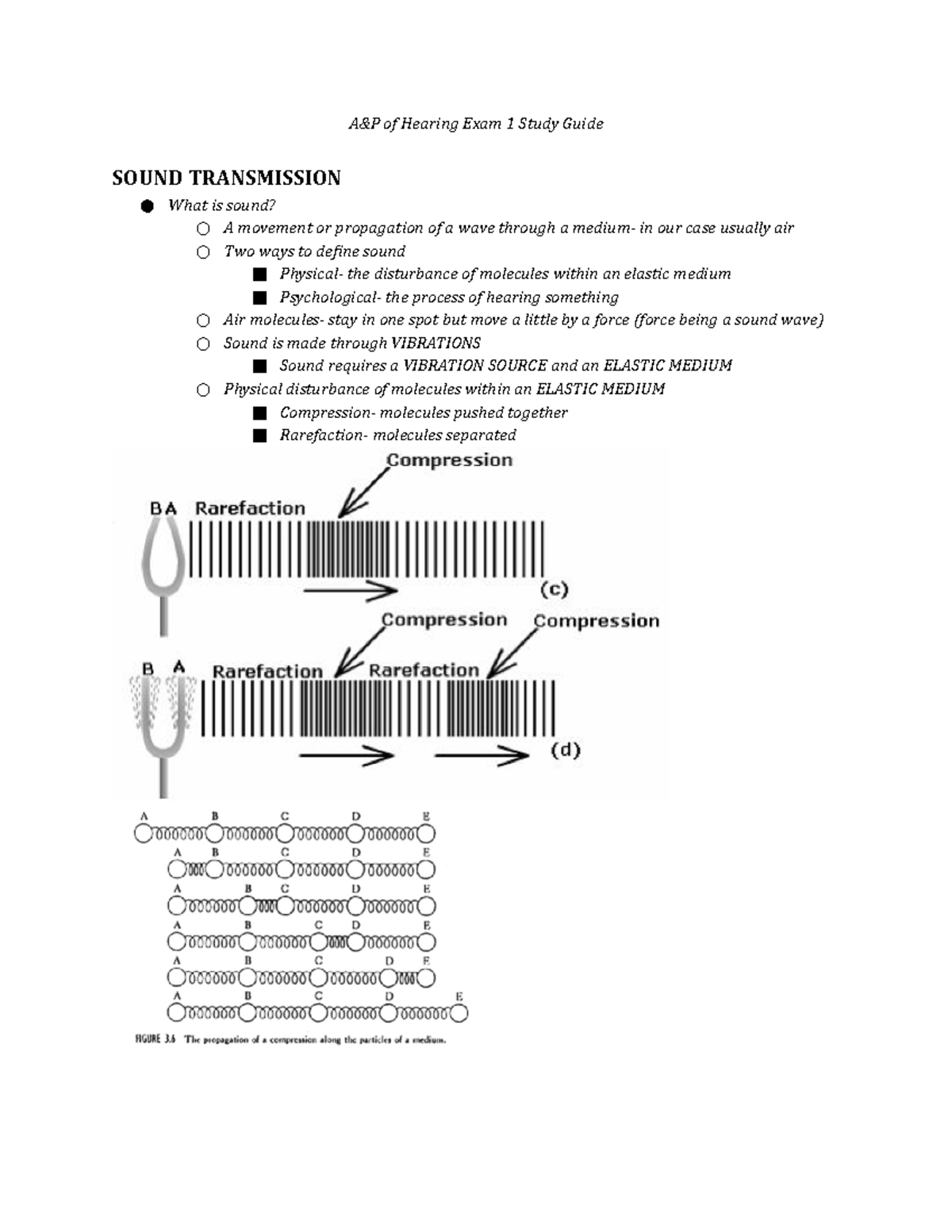 A&P of Hearing Exam 1 Study Guide - A&P of Hearing Exam 1 Study Guide ...