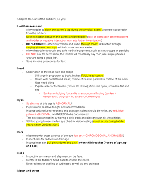 Care of the Toddler, Preschooler and School-Age Child - Active Learning ...
