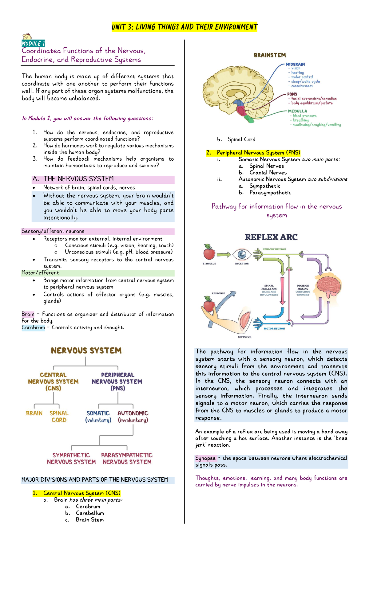 3rd Quarter Science 10 Reviewer - Module 1 • • o o ...