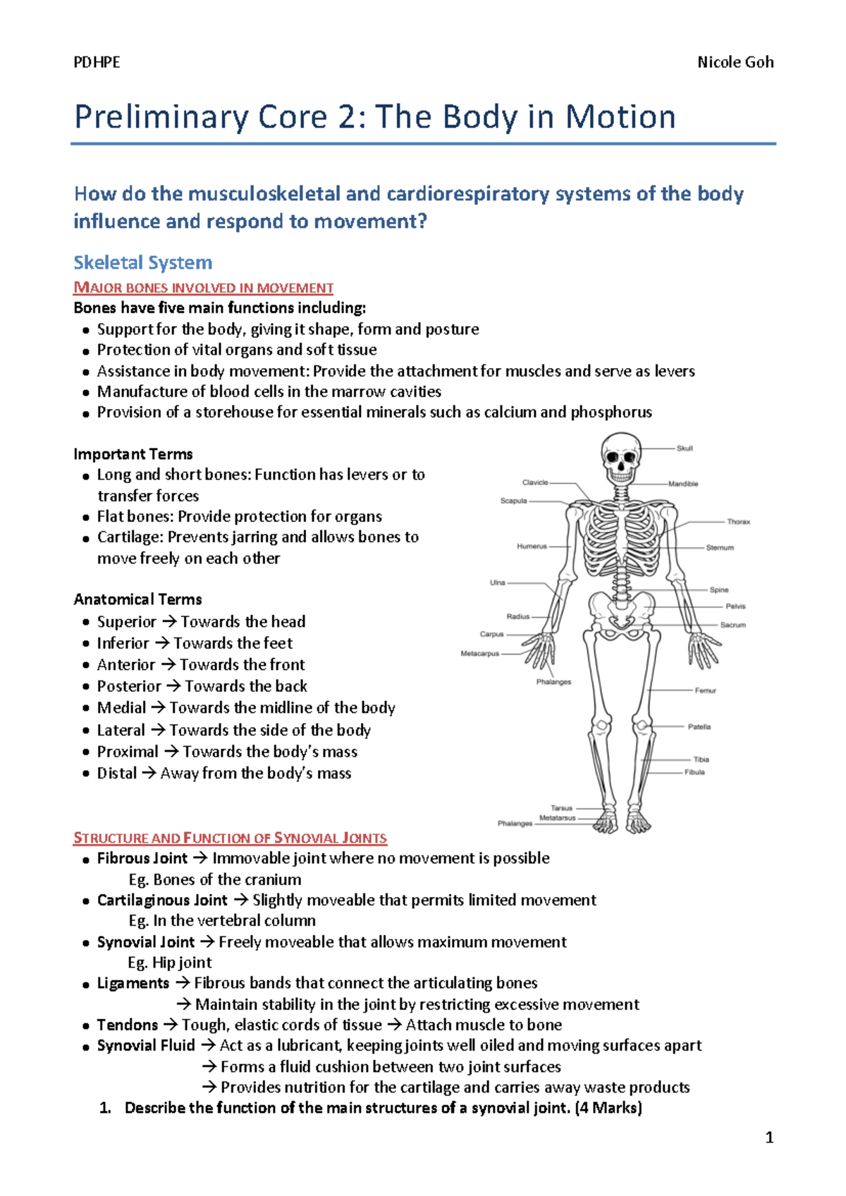 Core 2 - The Body in Motion - Preliminary Core 2: The Body in Motion ...