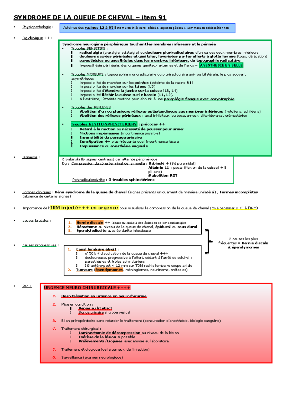 Syndrome de la queue de cheval - item 91 - SYNDROME DE LA QUEUE DE ...