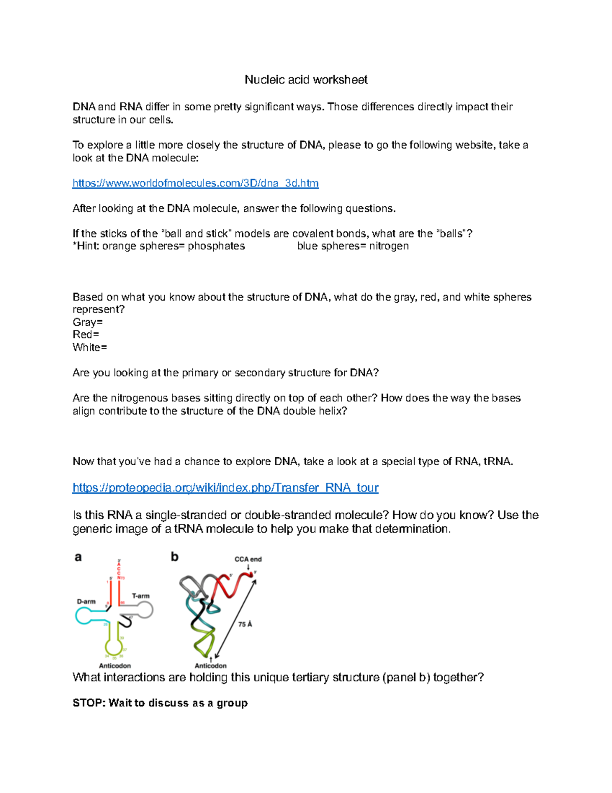 Nucleic acid worksheet - Those differences directly impact their ...
