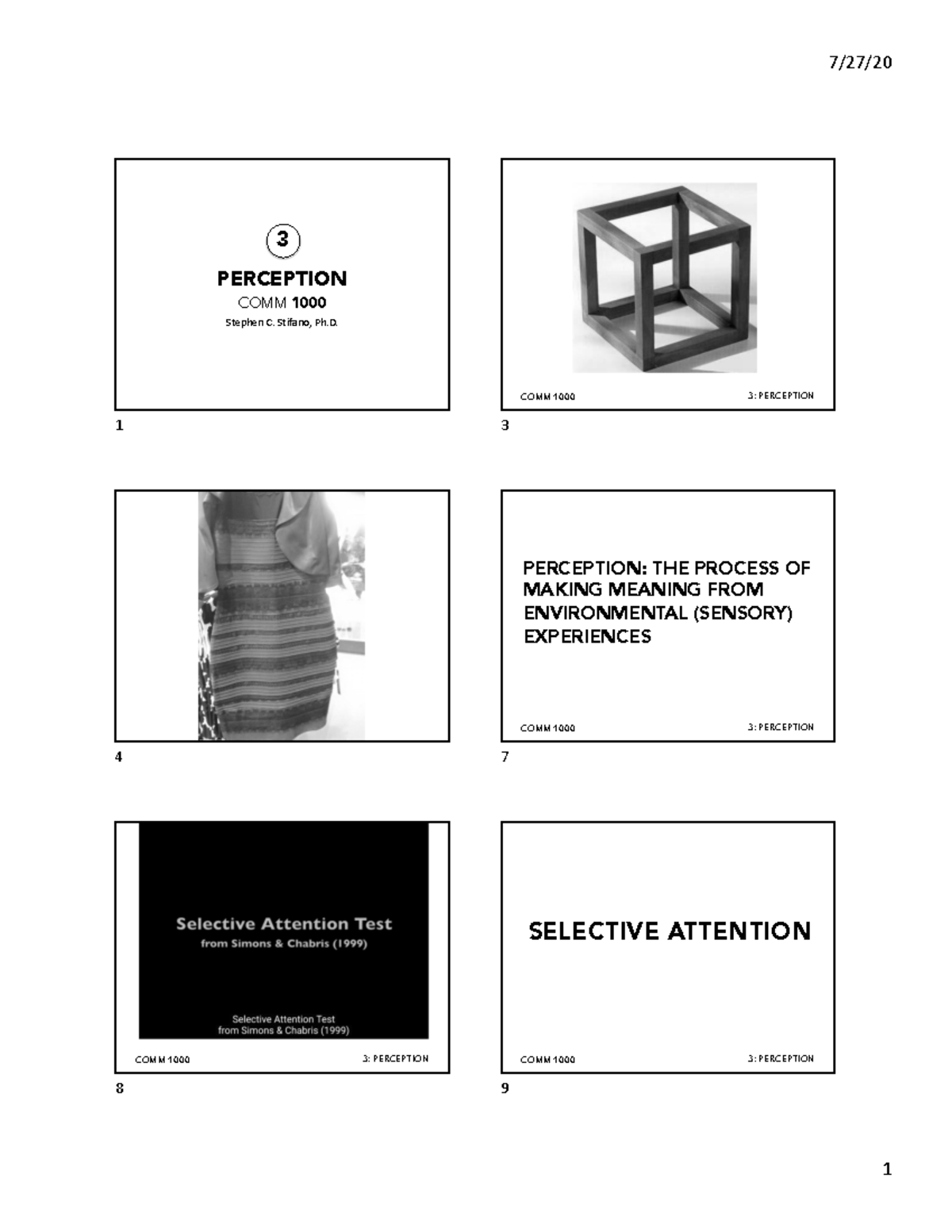 1000LEC-3-Perception - 7/27/ 1 PERCEPTION COMM 1000 Stephen C. Stifano ...