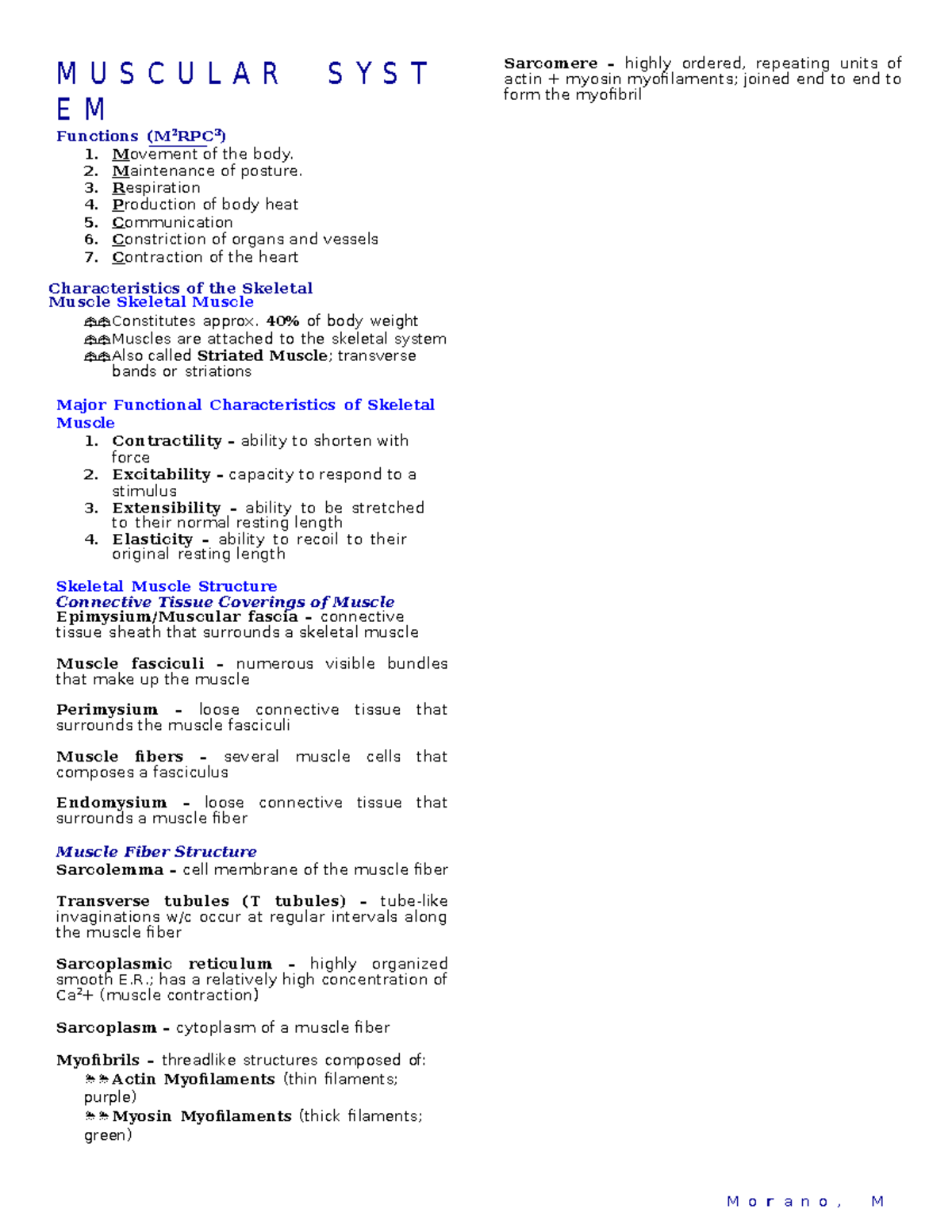 7-Muscular-System - reviewer - M U S C U L A R S Y S T E M Functions (M ...