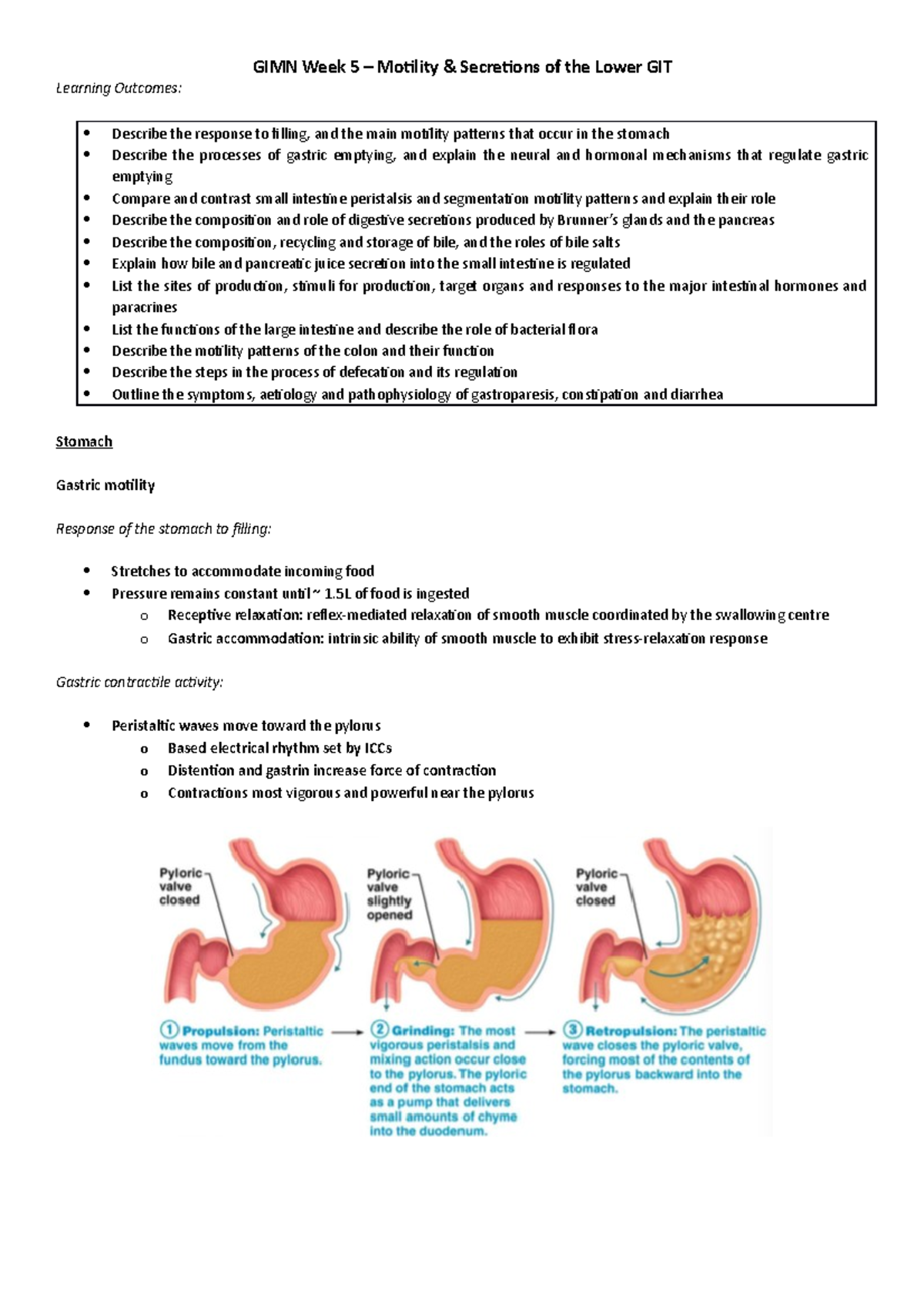 GIMN Week 5 Summary - Learning Outcomes: GIMN Week 5 Motility ...