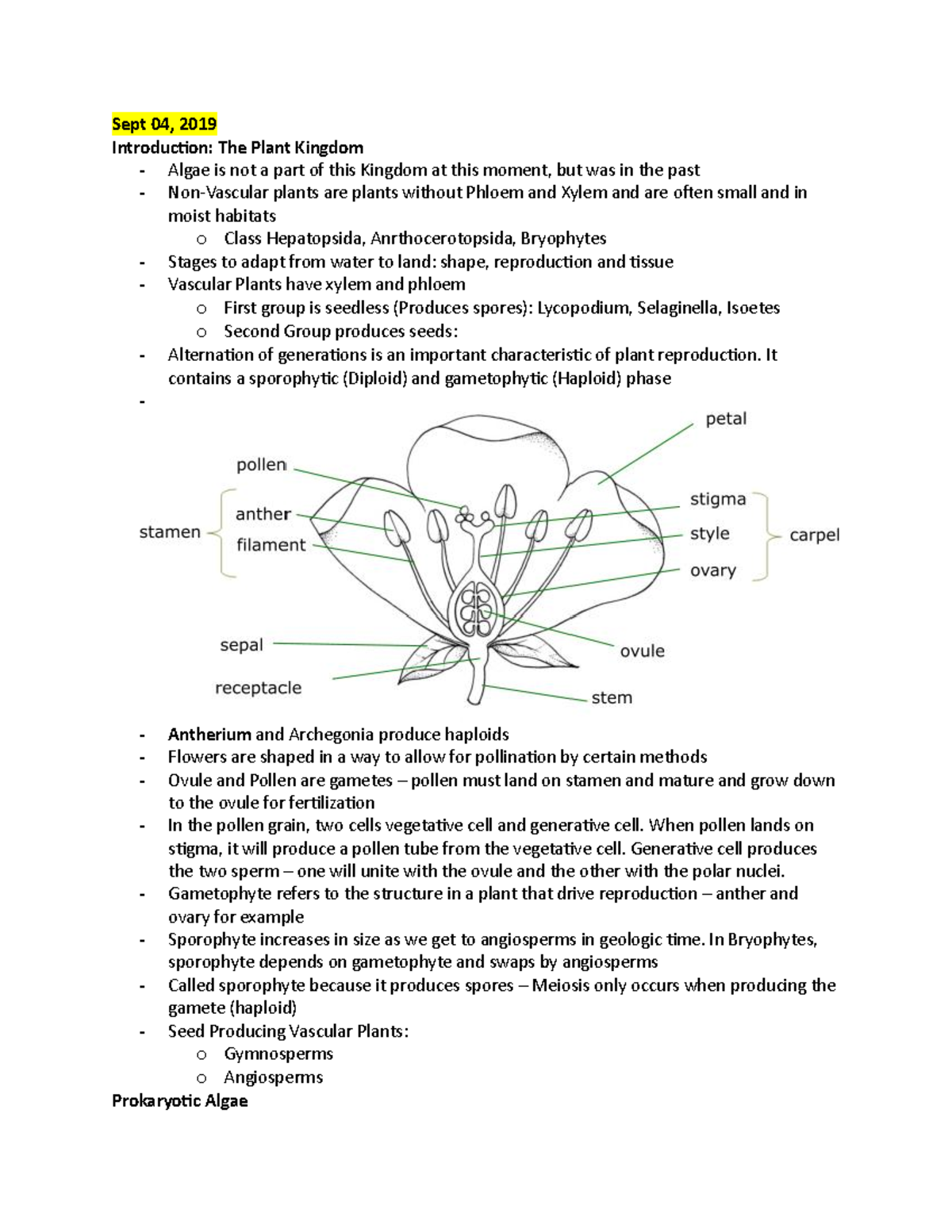 Plant Diversity Notes (final) - Sept 04, 2019 Introducion: The Plant ...