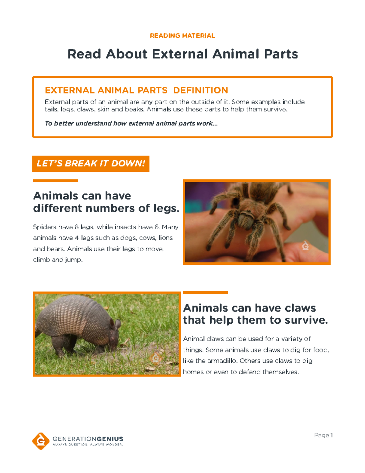 Animal Partssssssssss - READING MATERIAL Read About External Animal ...