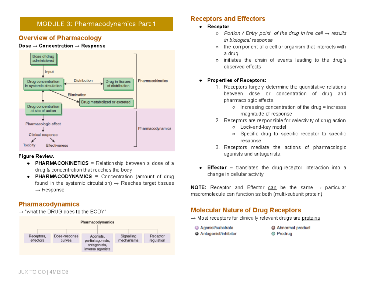 Module 3. Pharmacodynamics - MODULE 3: Pharmacodynamics Part 1 Overview ...