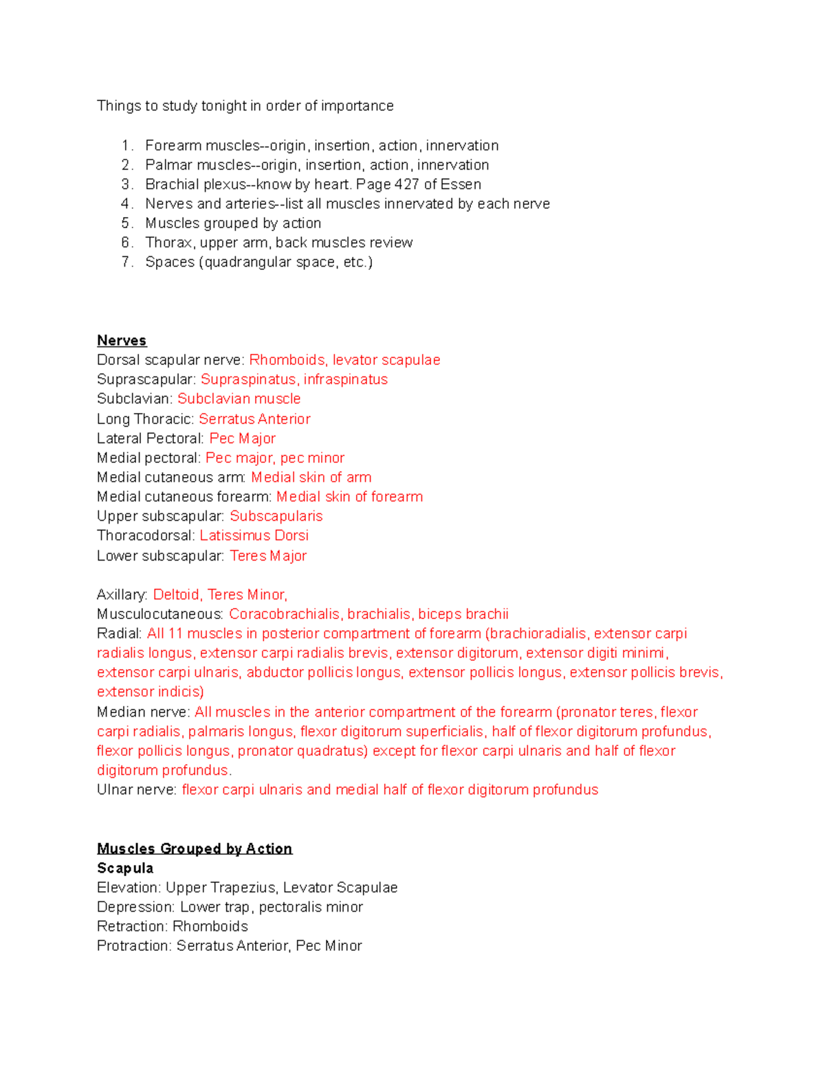 Gross Anatomy Study Guide Exam 1 - Things to study tonight in order of importance Forearm - Studocu