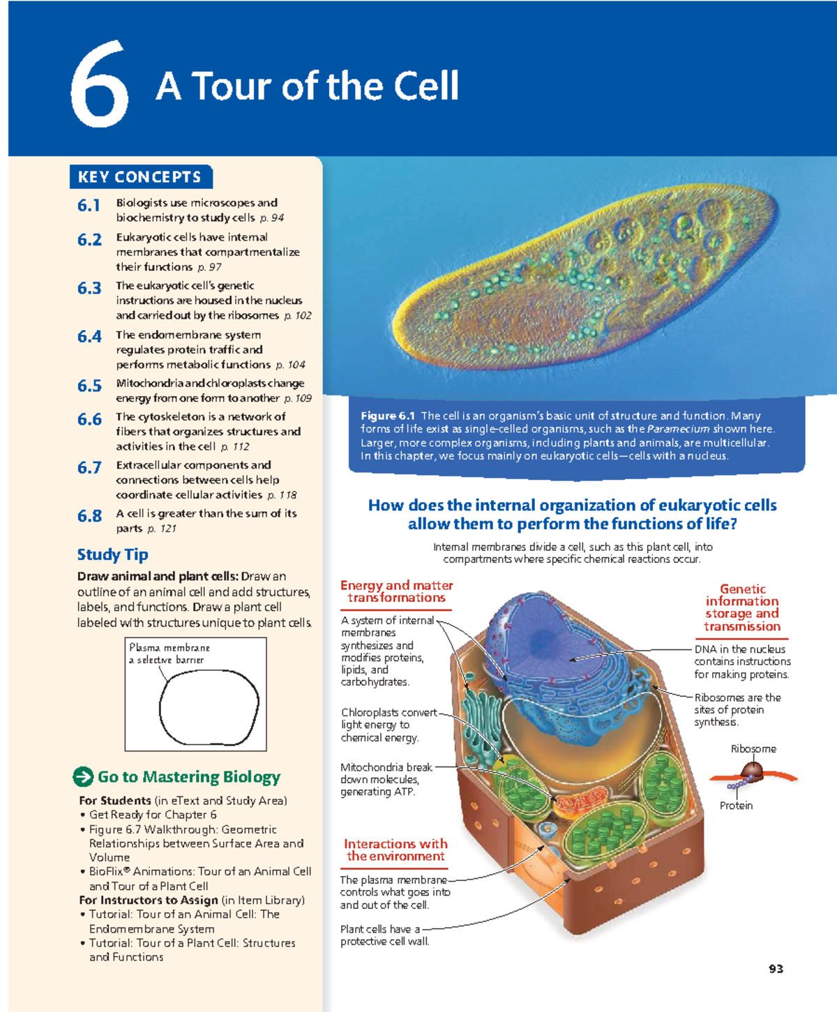 AP Biology Chapter 6 Textbook-12e - 93 Figure 6 The cell is an organism ...