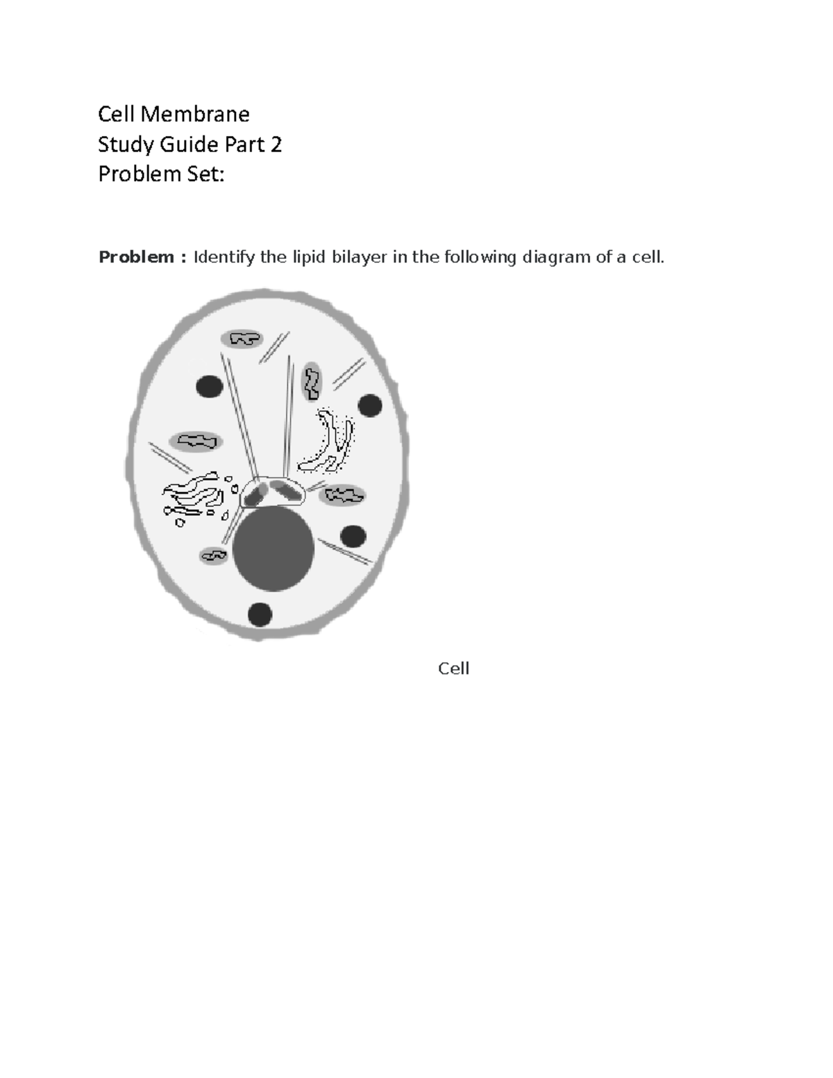 Cell Membrane problem set - Cell Membrane Study Guide Part 2 Problem ...