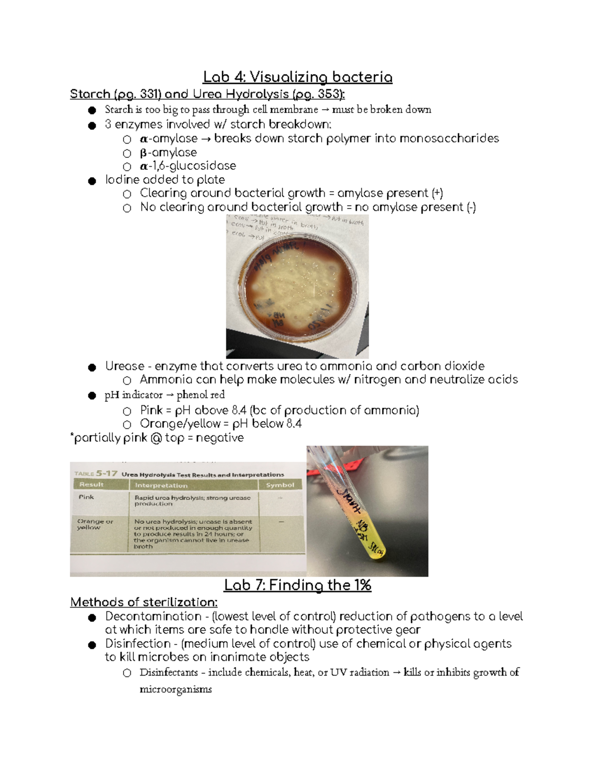 Exam #2 study guide - Lab 4: Visualizing bacteria Starch (pg. 331) and ...