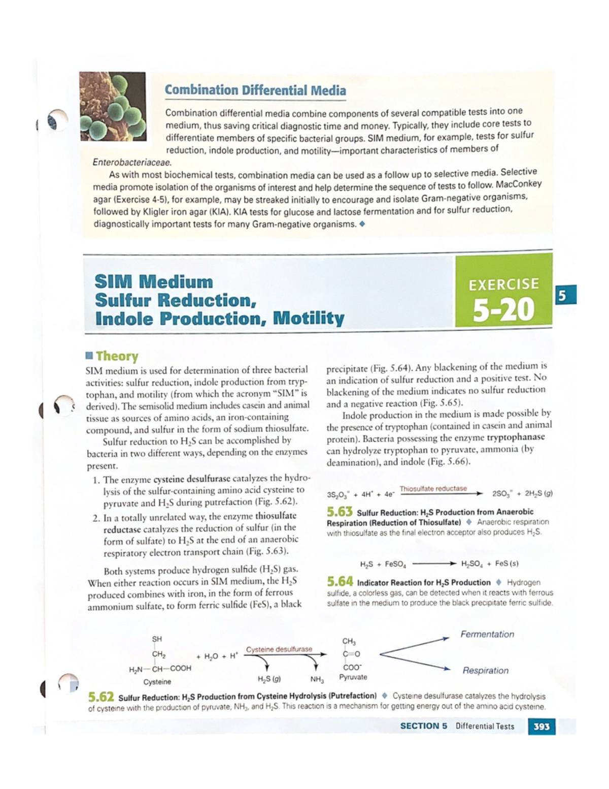 SIM Test - lab - CBIO 233L - Studocu