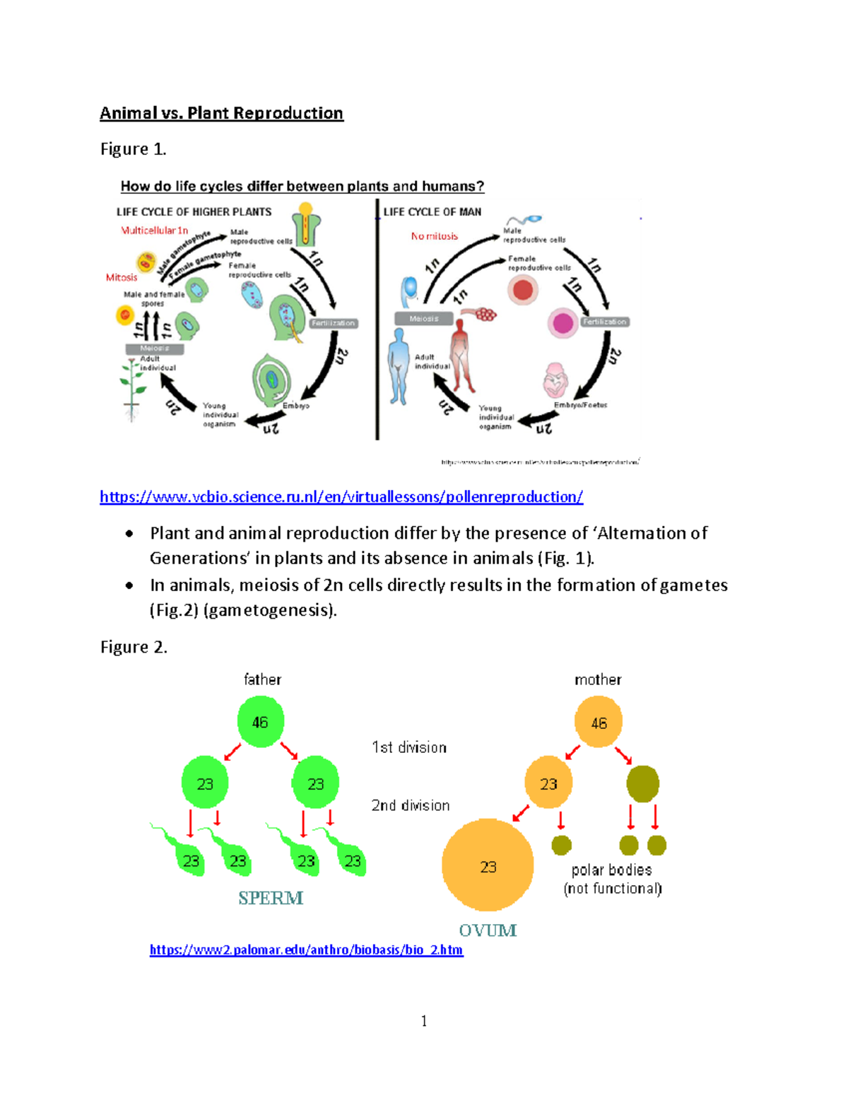 (1) Introduction and review - Animal vs. Plant Reproduction Figure 1. - Studocu