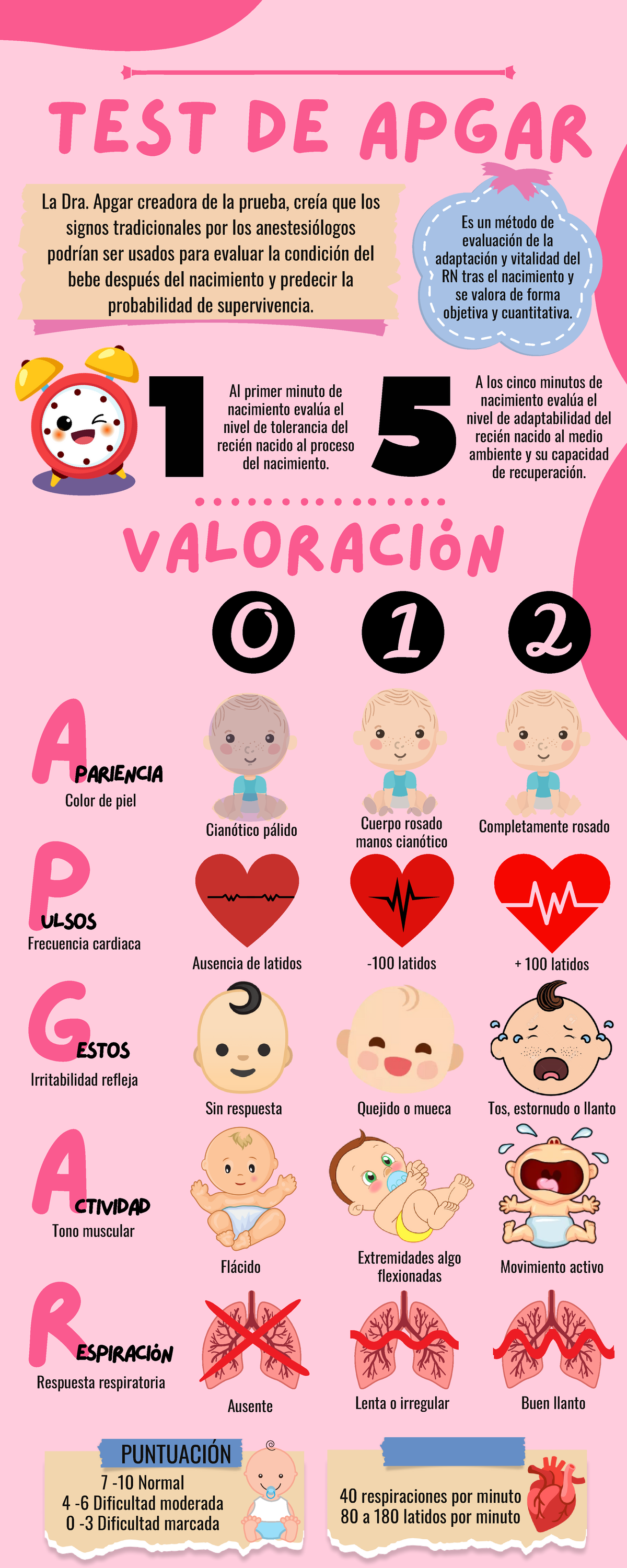 Apgar - Ausencia de latidos -100 latidos test de apgar La Dra. Apgar ...