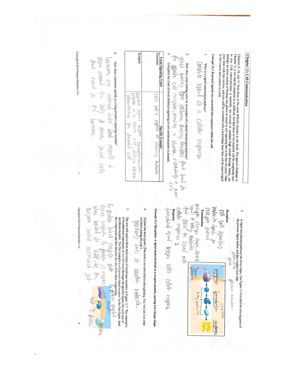 Chapter 11: Cell Communication - Bio 1404 - Studocu