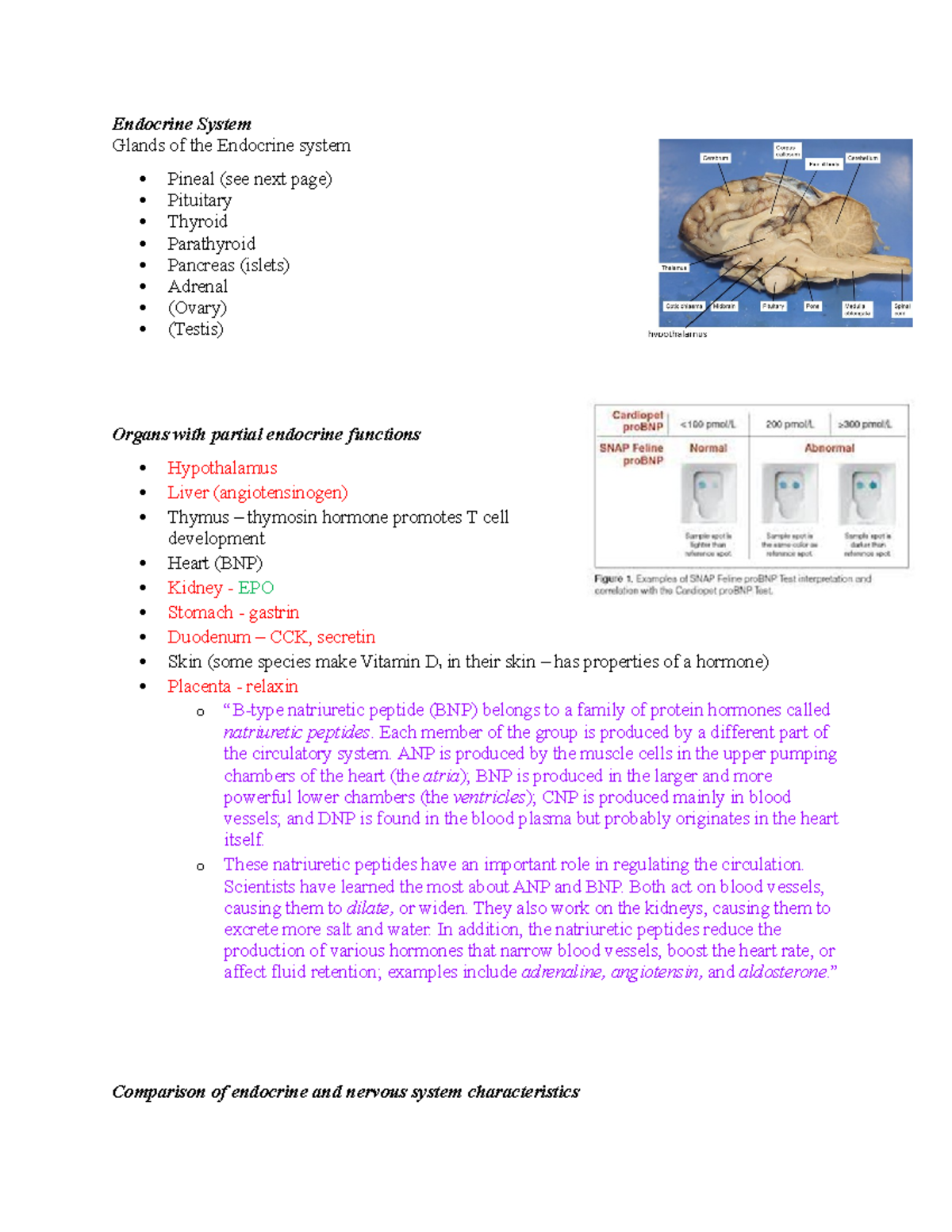 L6 - Endocrine System; Comparison of endocrine and nervous system ...