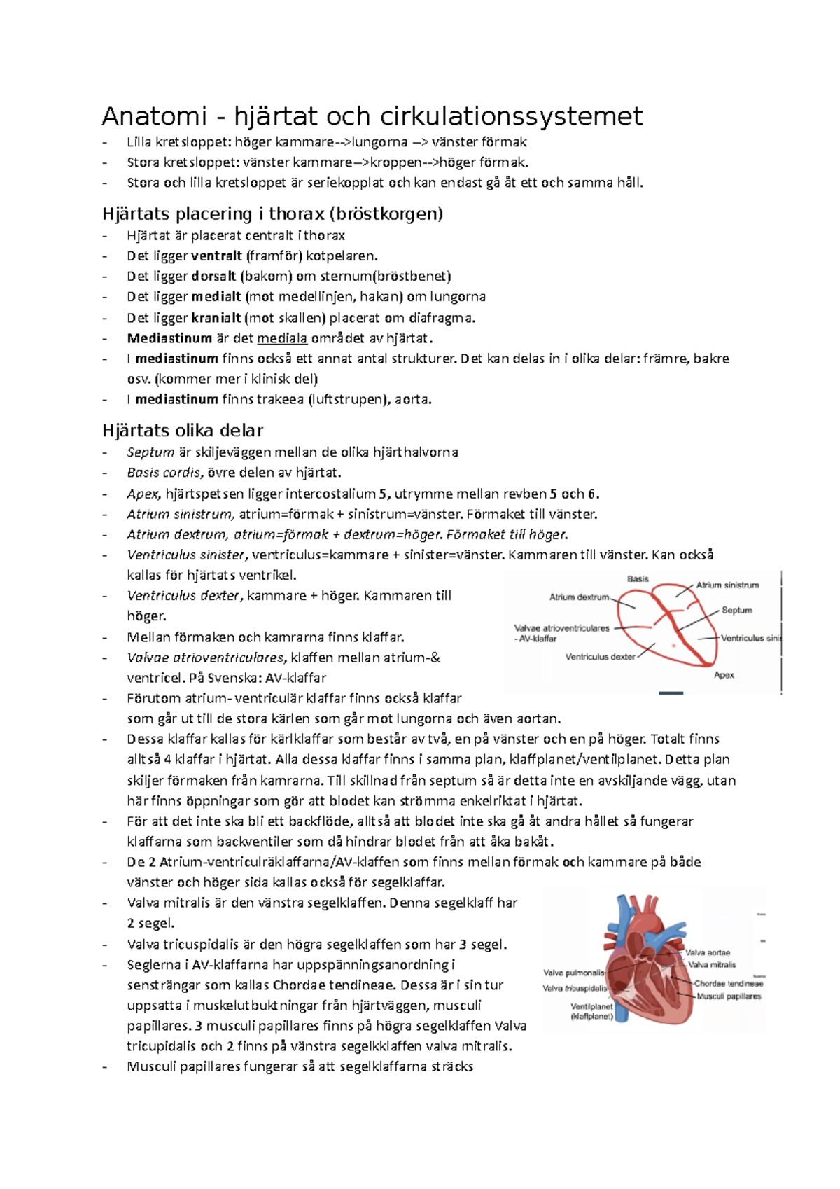 Hjärtat och cirkulationssystemet - Anatomi - hjärtat och ...