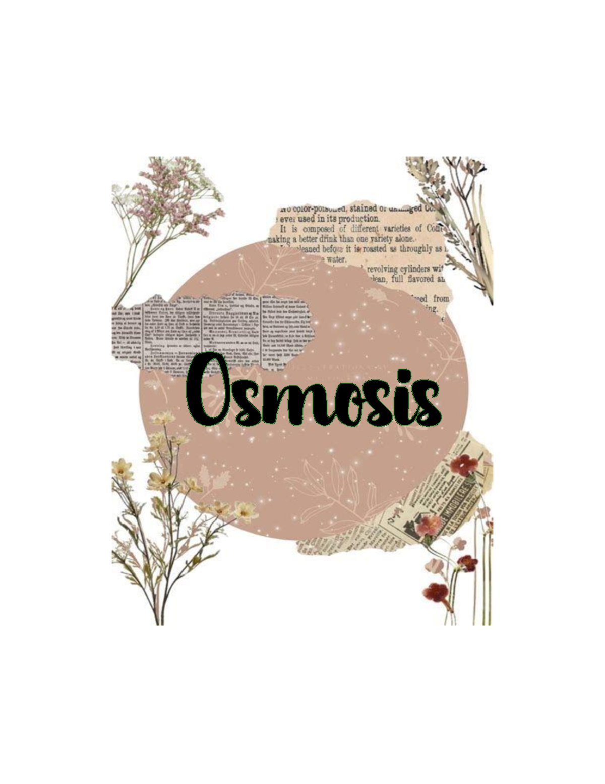 5. Osmosis - Trabajo en clase de biología celular - CATEDRA: Biología ...